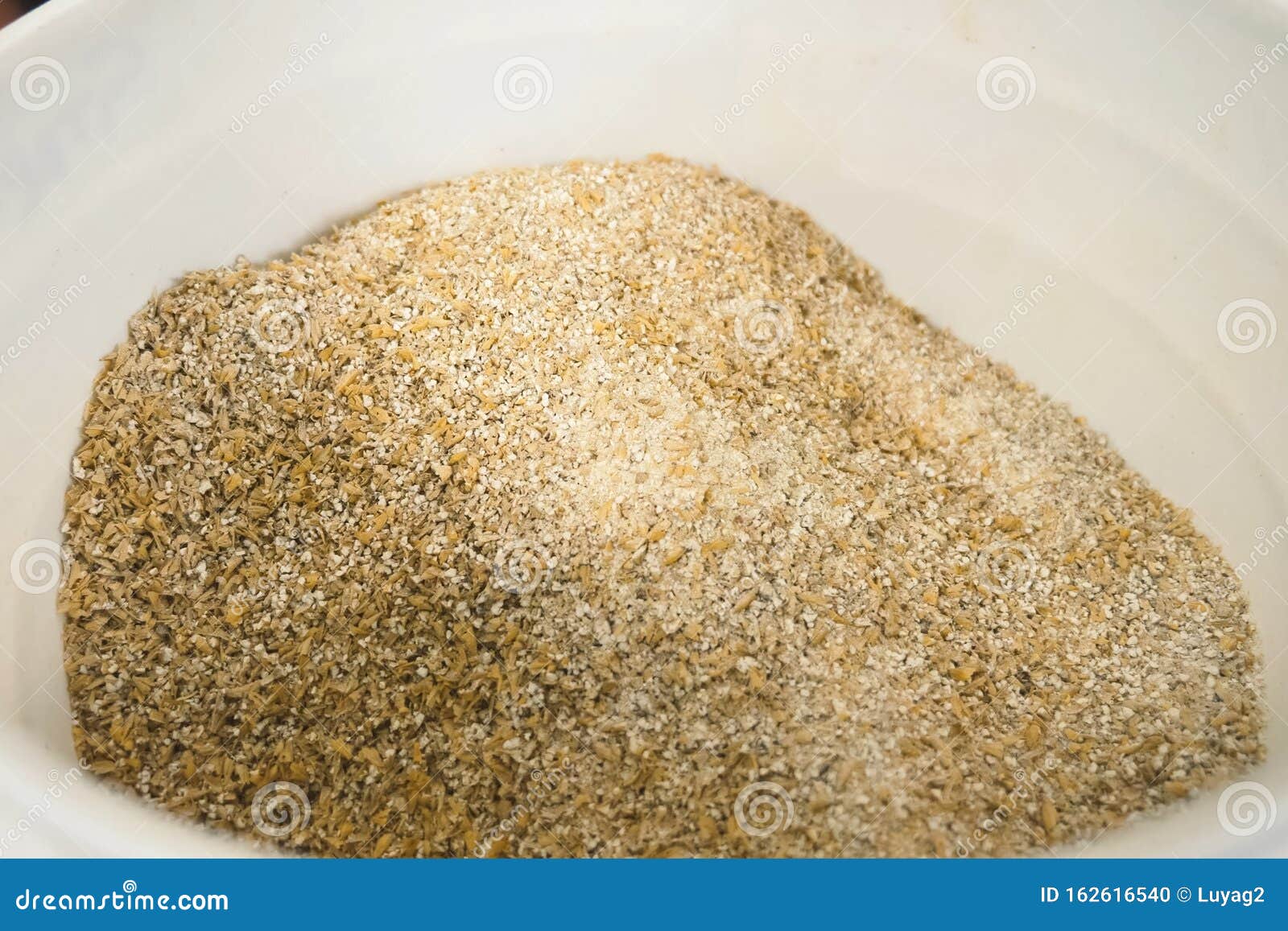 Ground Barley in Container, Grinding Barley Stock Photo - Image of ...