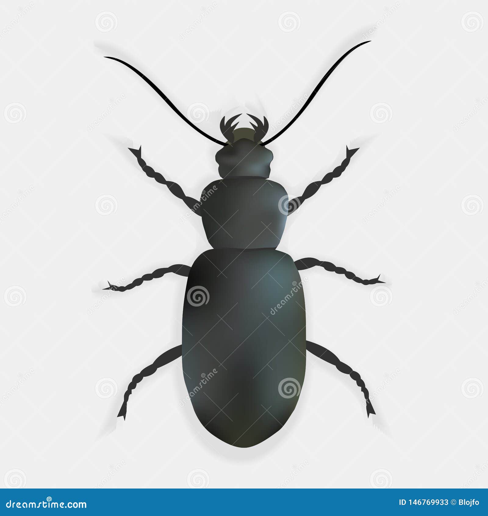 Ground Beetle. Colorful Vector Drawing Of Big Blue Beetle ...