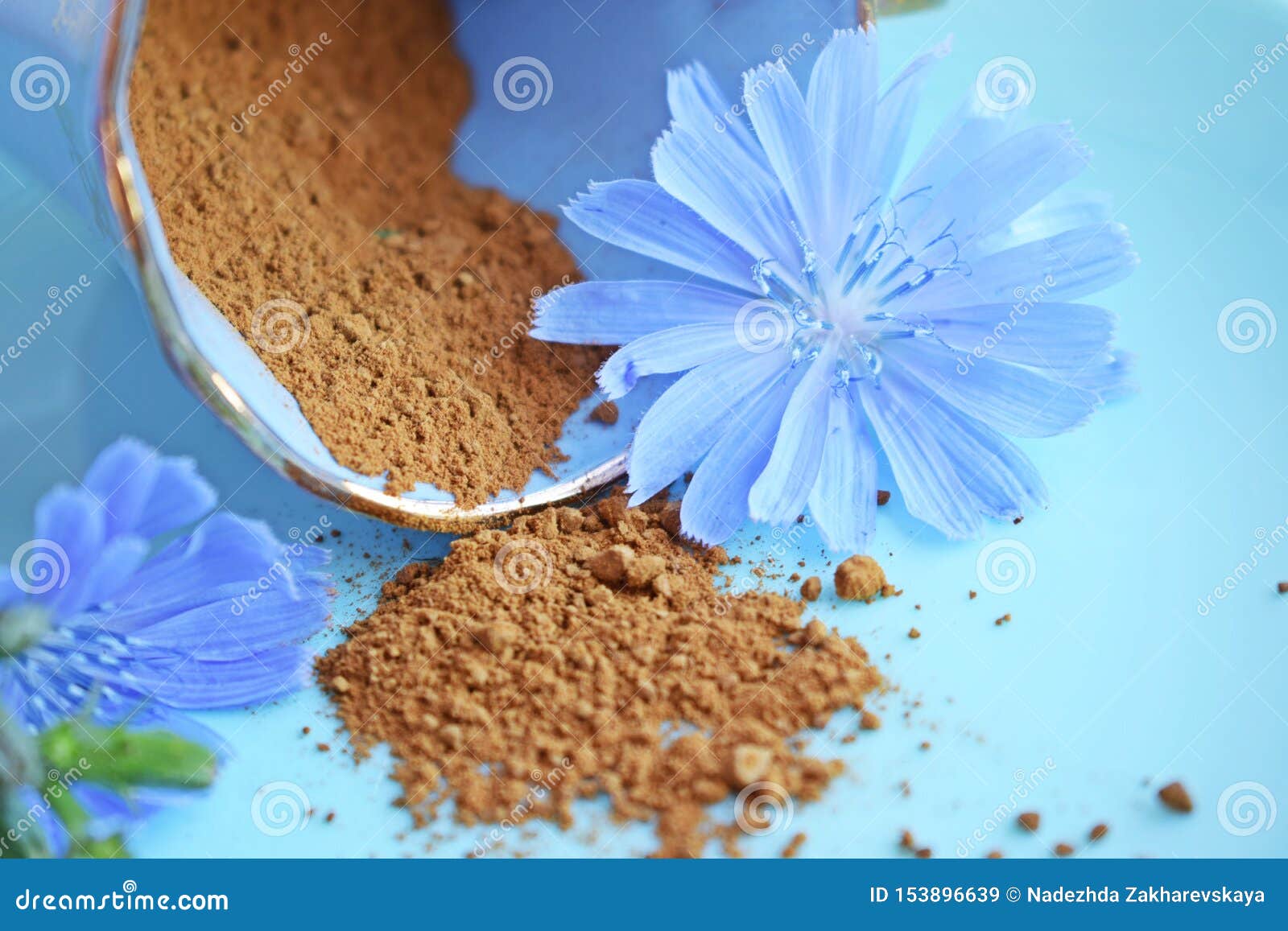 Ground Chicory and Blue Chicory Flowers. Stock Image - Image of stem ...