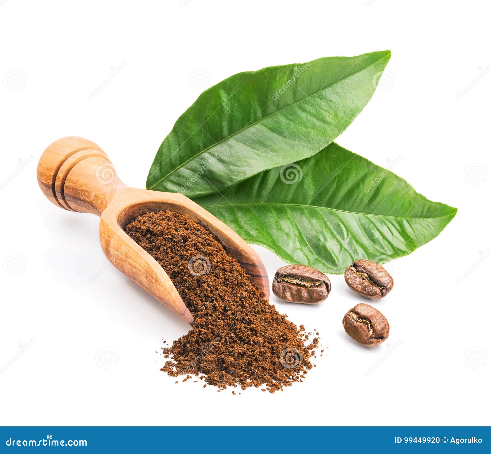 Coffee Leaves Isolated White Background Royalty-Free Stock Image ...