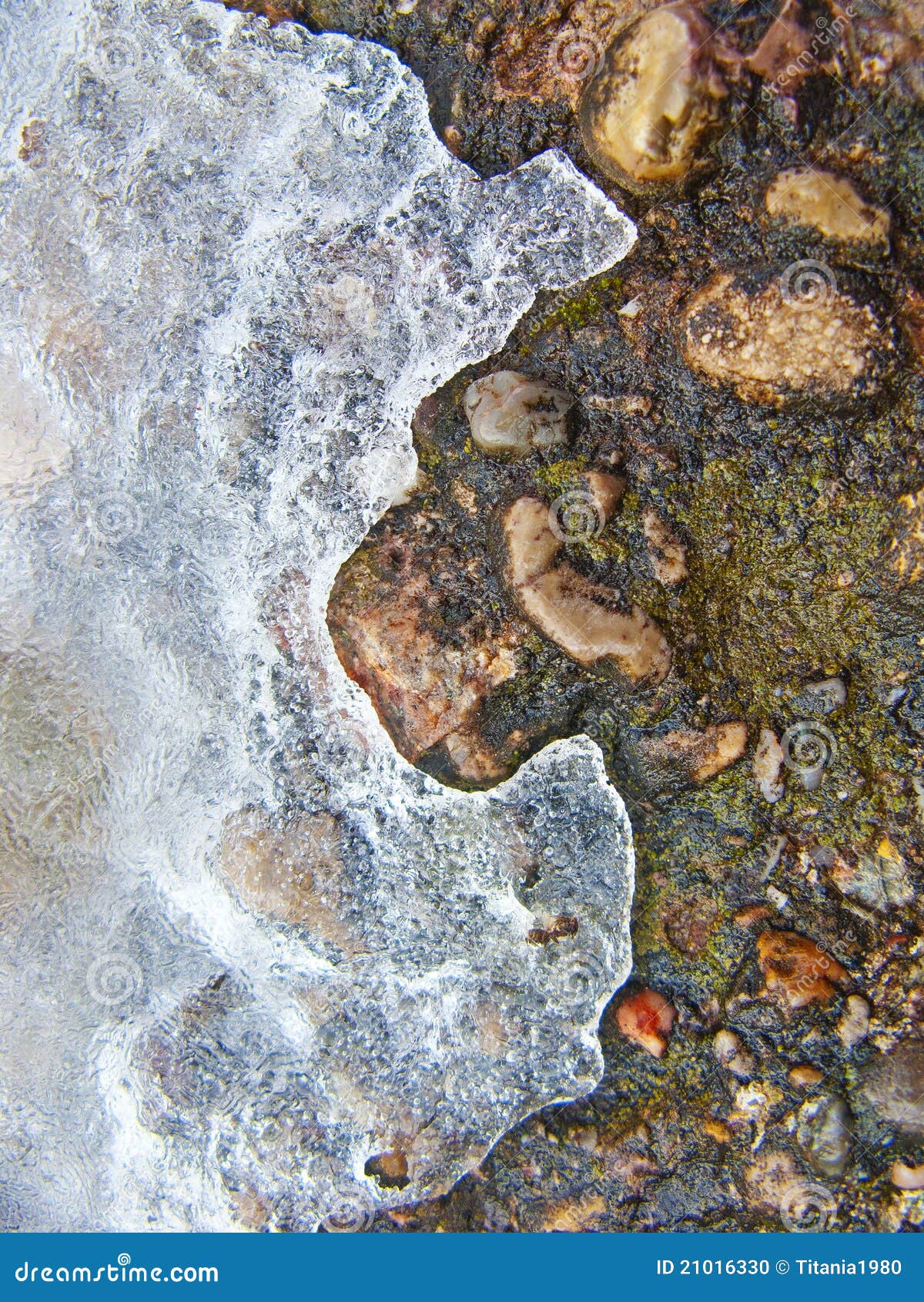 Ground covered with ice stock photo. Image of background - 21016330