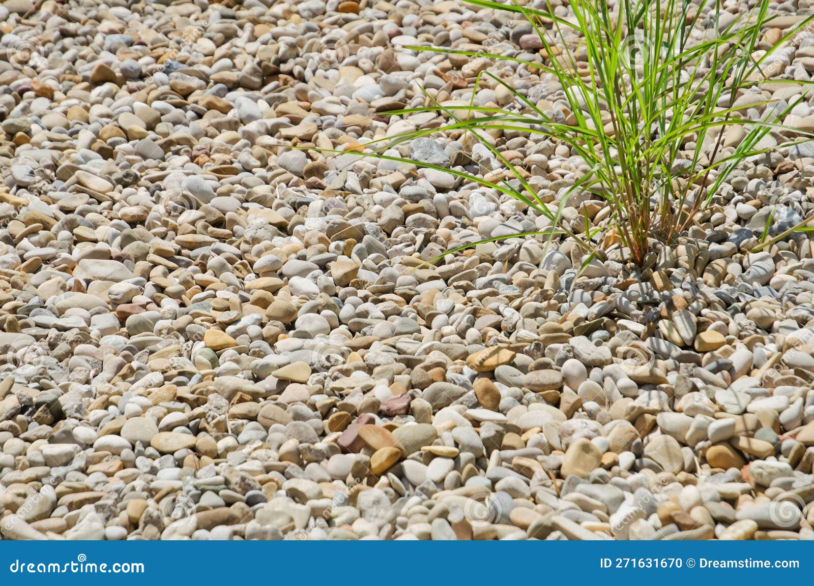 Covered with Medium-sized Stones with a Small Patch of Grass in the ...