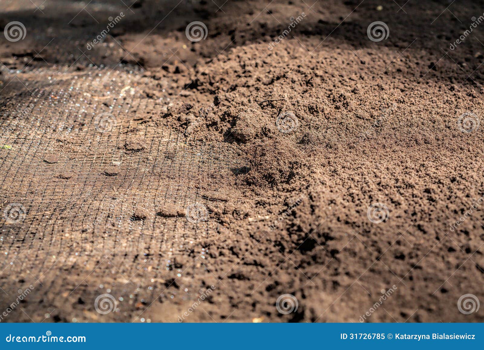 Ground covered with net stock image. Image of landscaping - 31726785