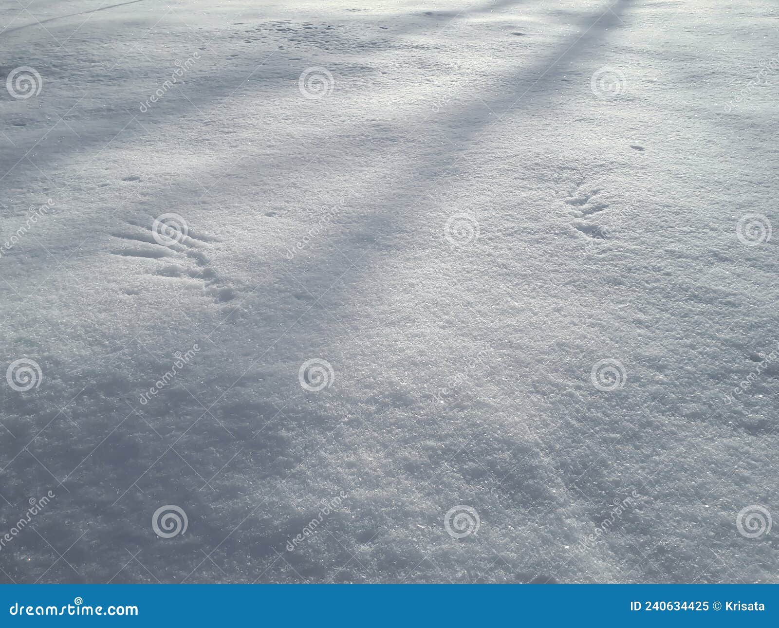 Ground Covered with Snow and Marks of Wings or Wingprints of a Bird - a ...