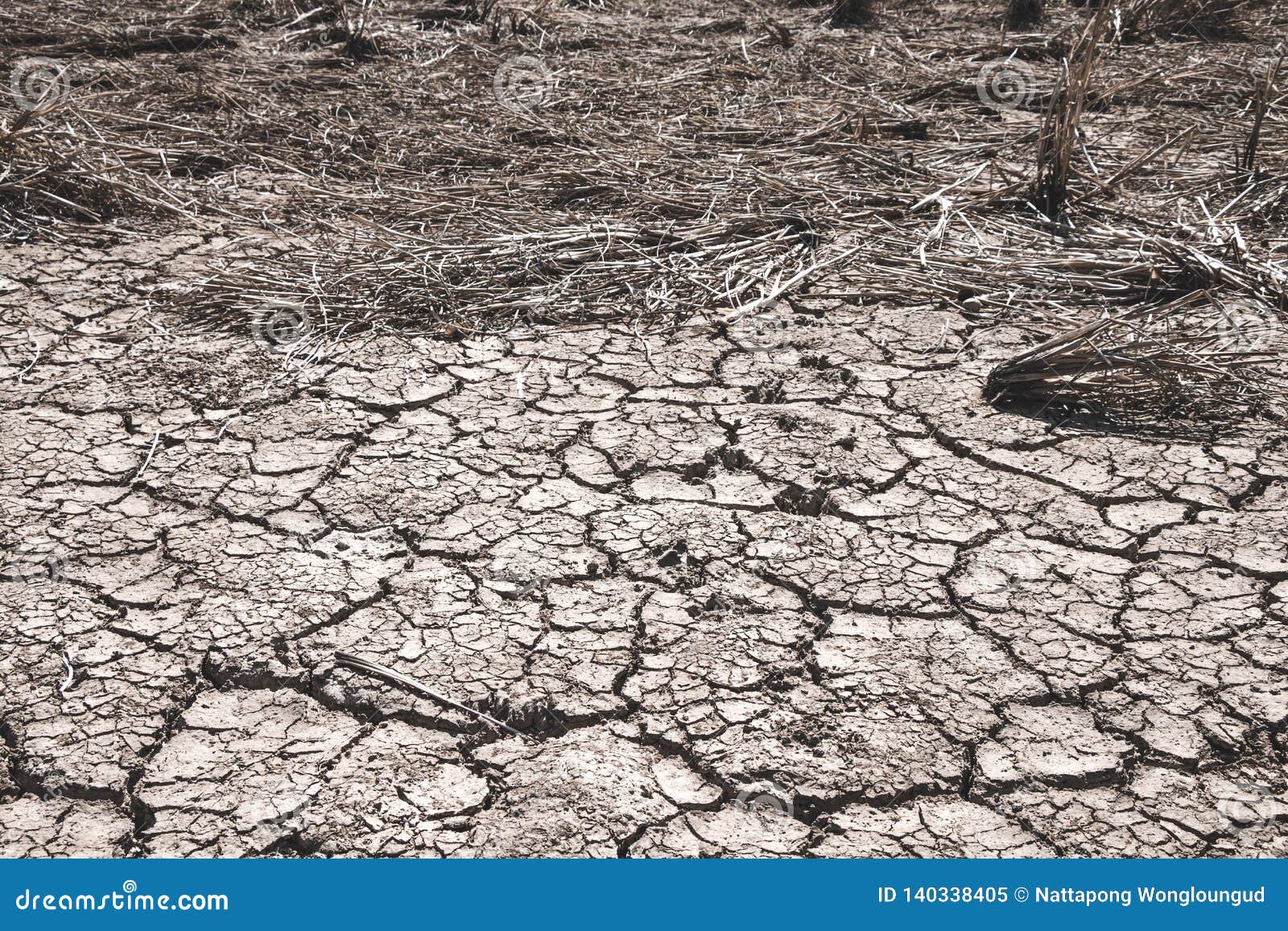 The Ground Cracks Caused by Drought Caused by Water Shortages Stock ...