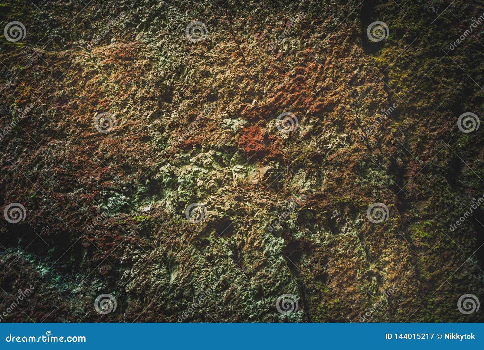 Moss Soil Cross Section Stock Photos - Free & Royalty-Free Stock Photos ...
