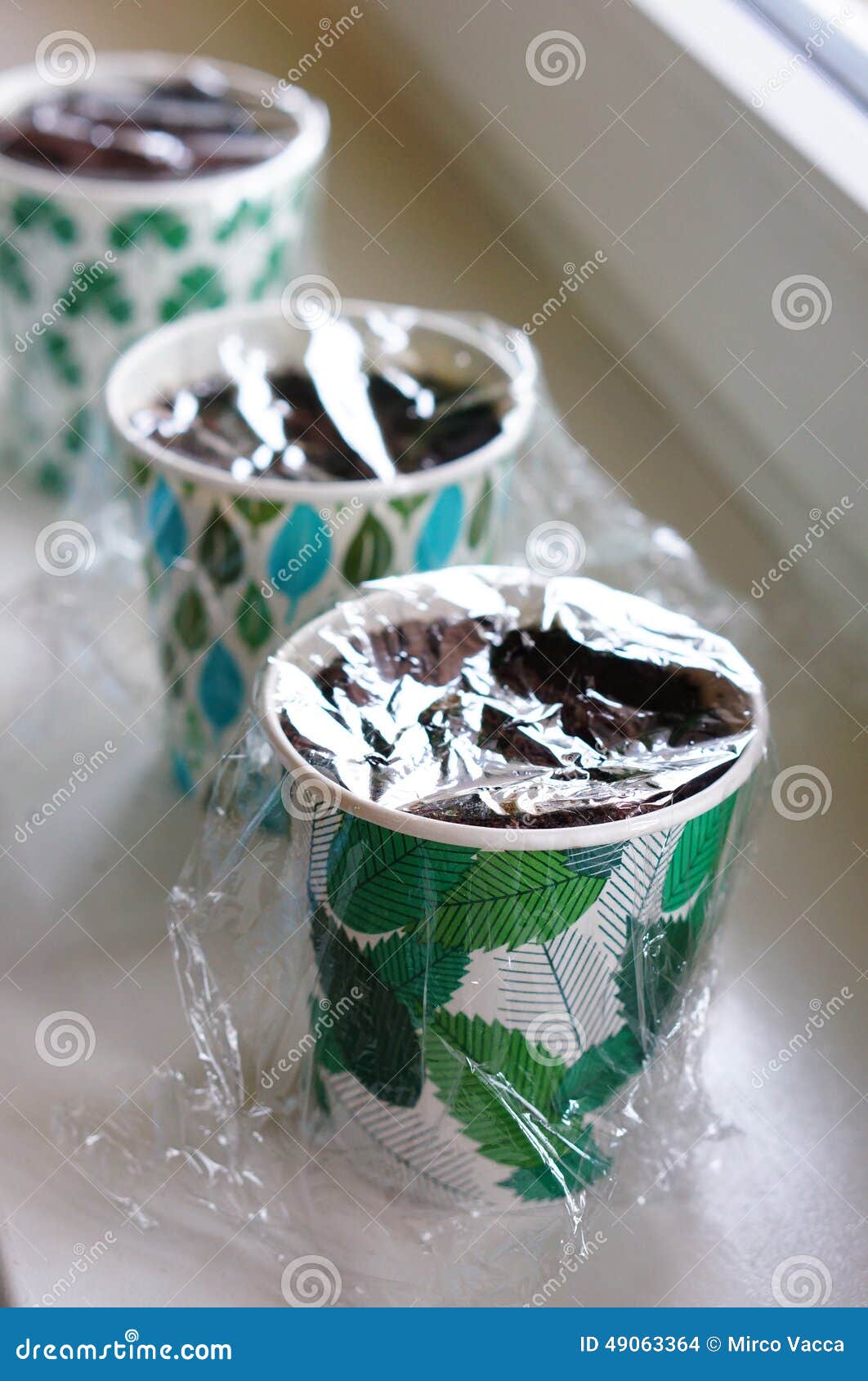 Ground cups stock photo. Image of ground, growth, cups - 49063364