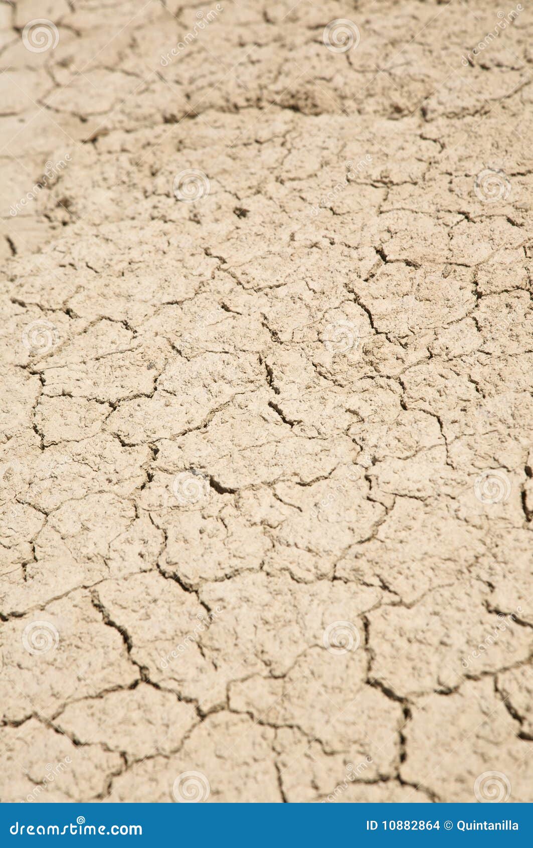 Ground desert stock photo. Image of land, reales, europe - 10882864
