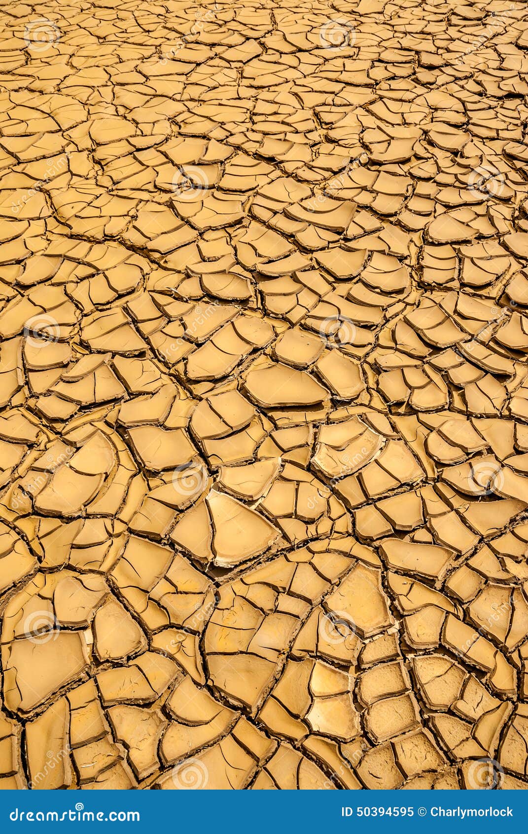 Ground in Drought, Soil Texture and Dry Mud, Produced by Deforestation ...