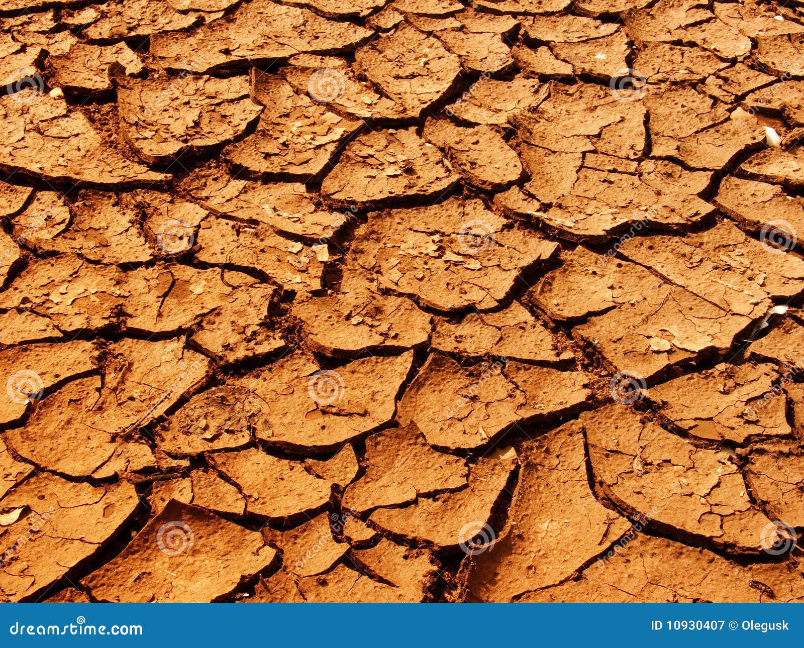 Ground dry stock image. Image of seasonal, background - 10930407