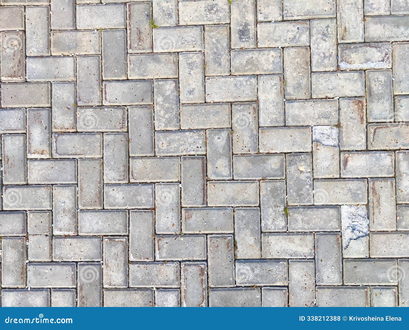 The Ground Features a Decorative Arrangement of Interlocking Stone ...