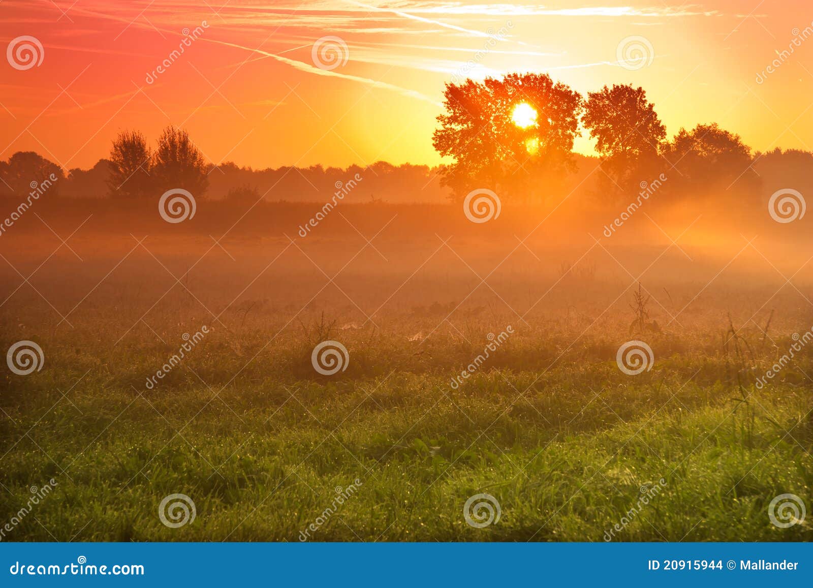 Ground Fog stock photo. Image of landscape, sunrise, orange - 20915944