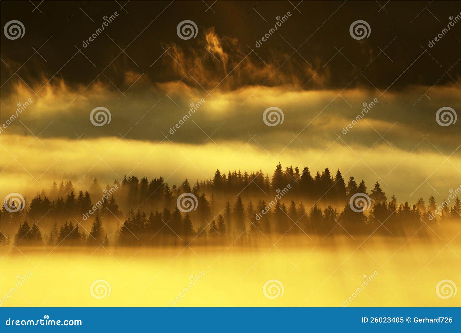 Ground fog stock image. Image of sunrise, shine, mist - 26023405