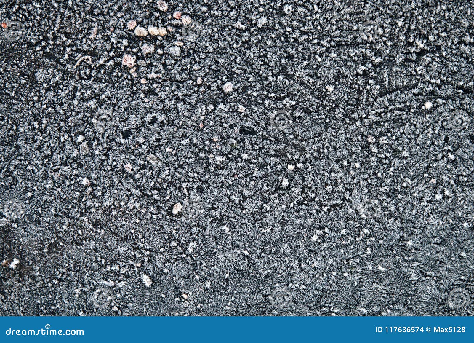 Frozen Ground, Covered with Frost Stock Photo - Image of covered ...