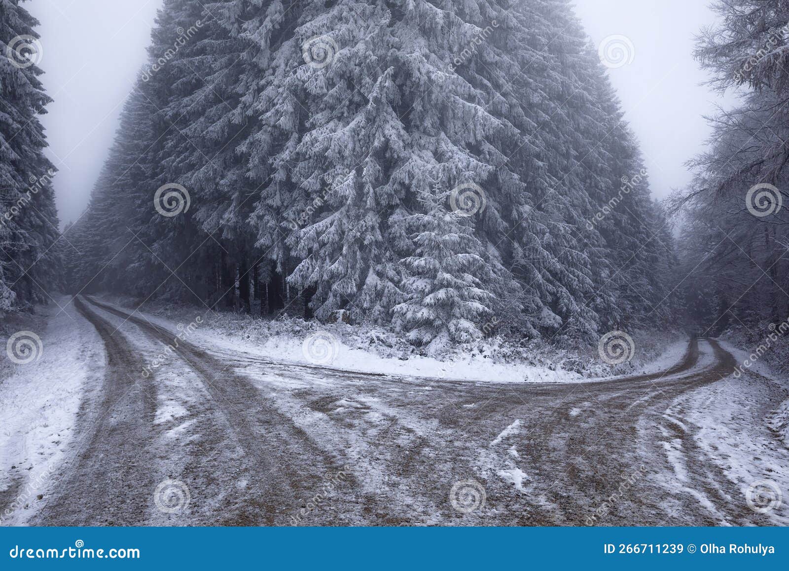 Ground Frozen Road in Winter Forest Stock Image - Image of coniferous ...