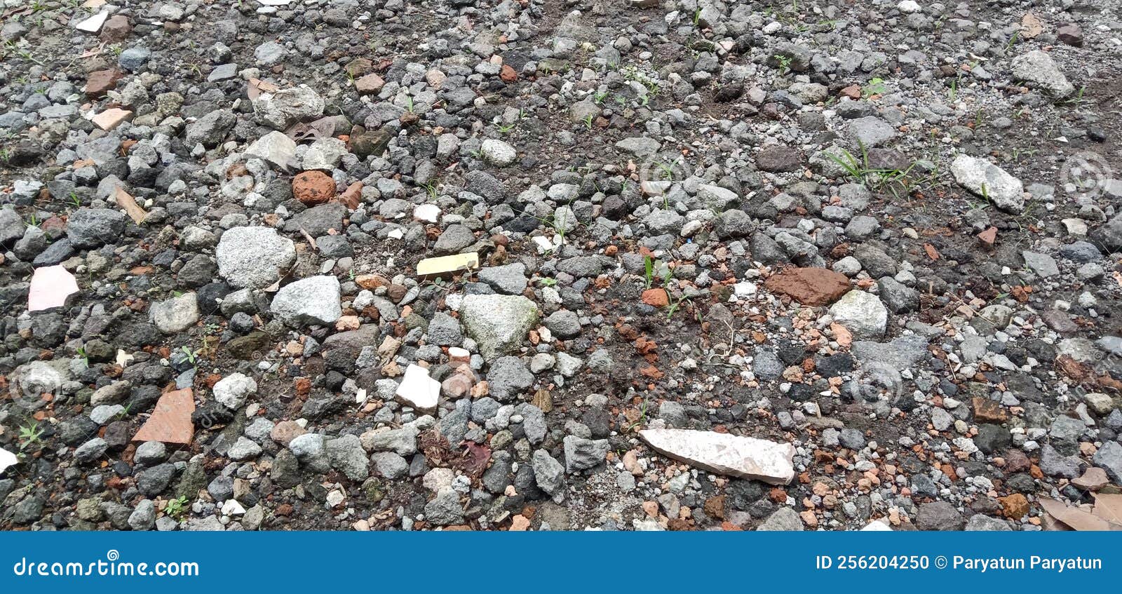 Broken Rocks and Small Grass Stock Photo - Image of grass, gravel ...