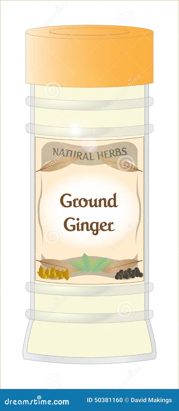 Ground Ginger Herb stock vector. Illustration of plate - 50381160