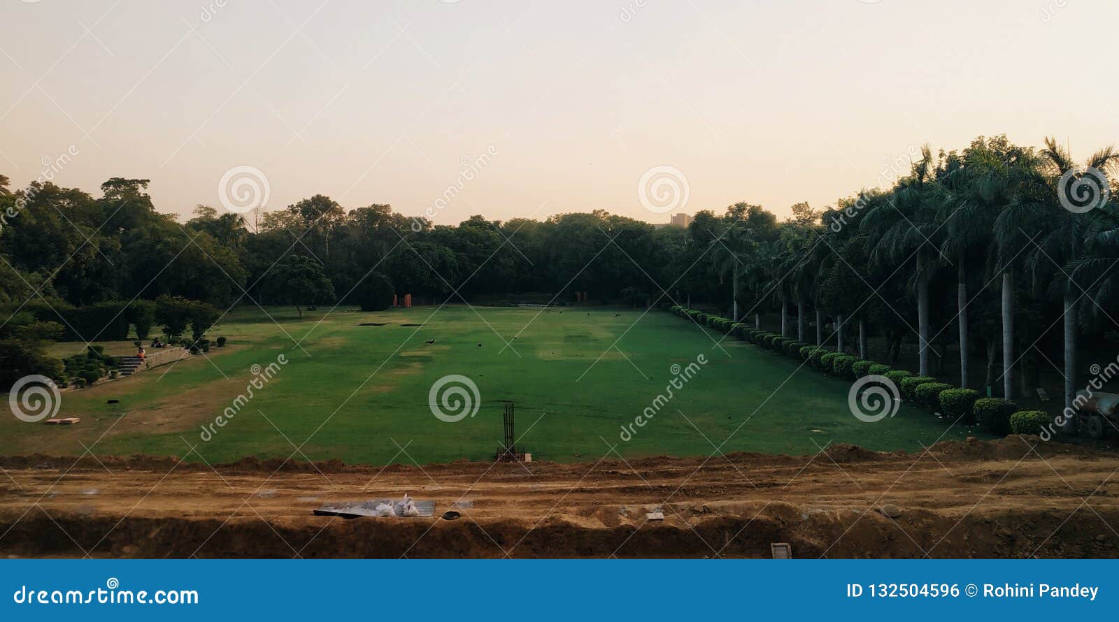 A ground stock photo. Image of greenery, trees, ground - 132504596