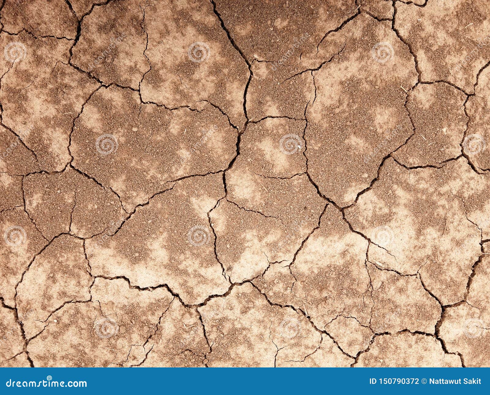 The Ground Has Cracks in the Top View for the Background Stock Photo ...