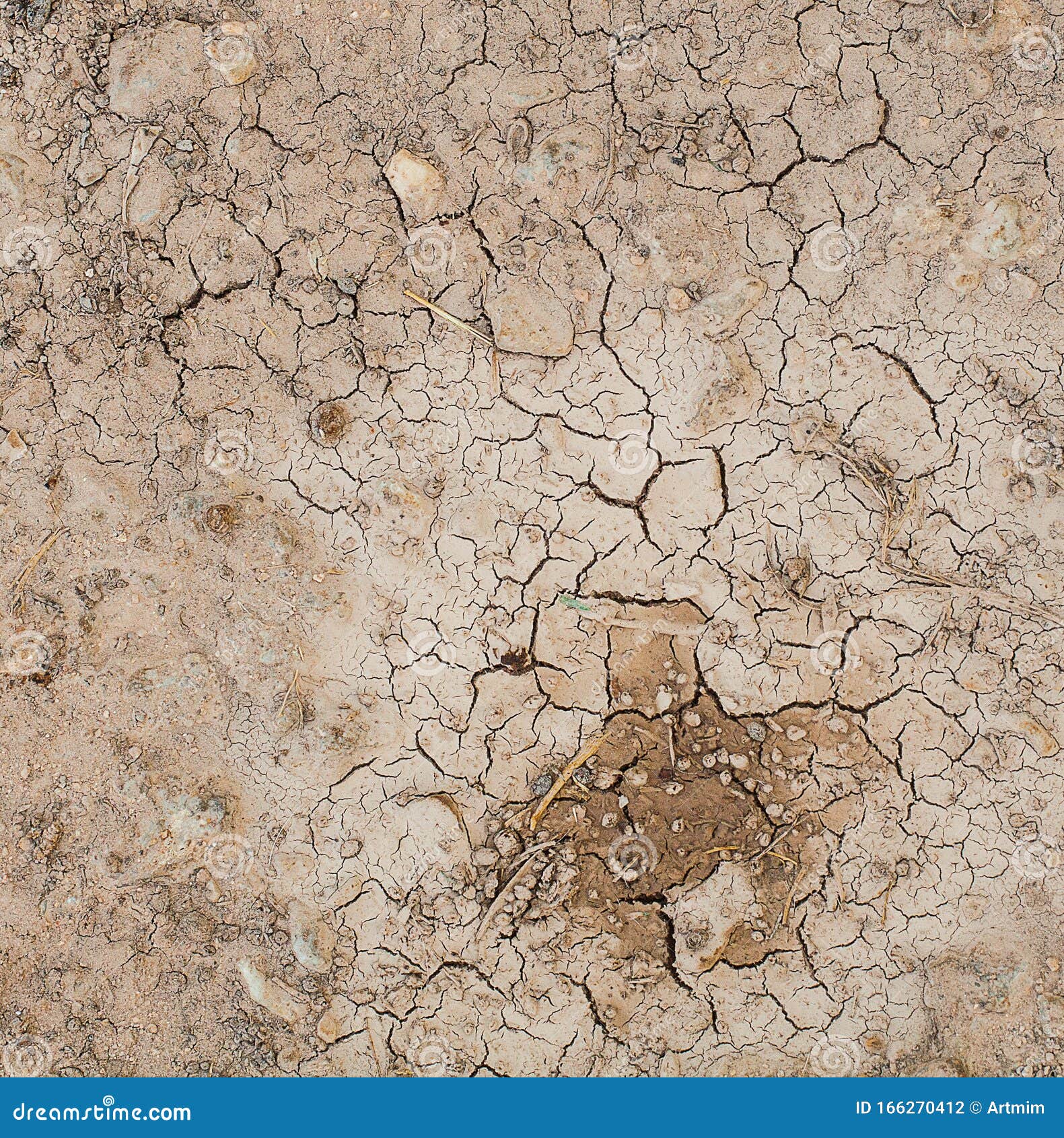 The Ground Has Cracks in the Top View for the Background or Graphic ...