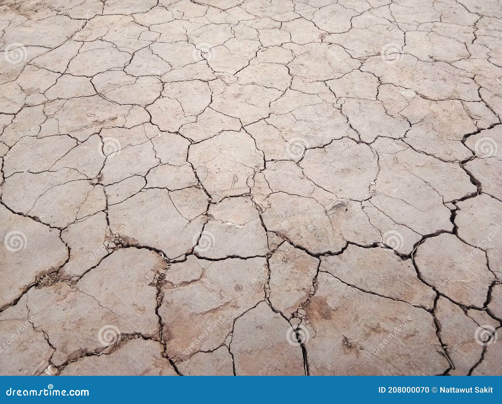 The Ground Has Cracks in the Top View for the Background Stock Photo ...