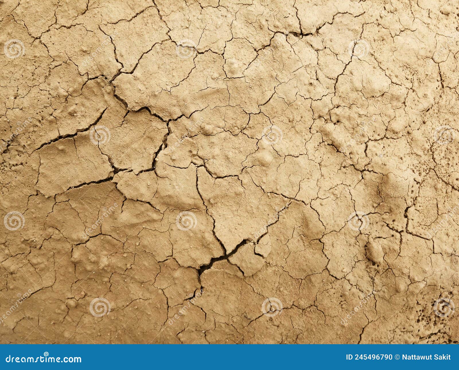 The Ground Has Cracks in the Top View for the Background Stock Photo ...