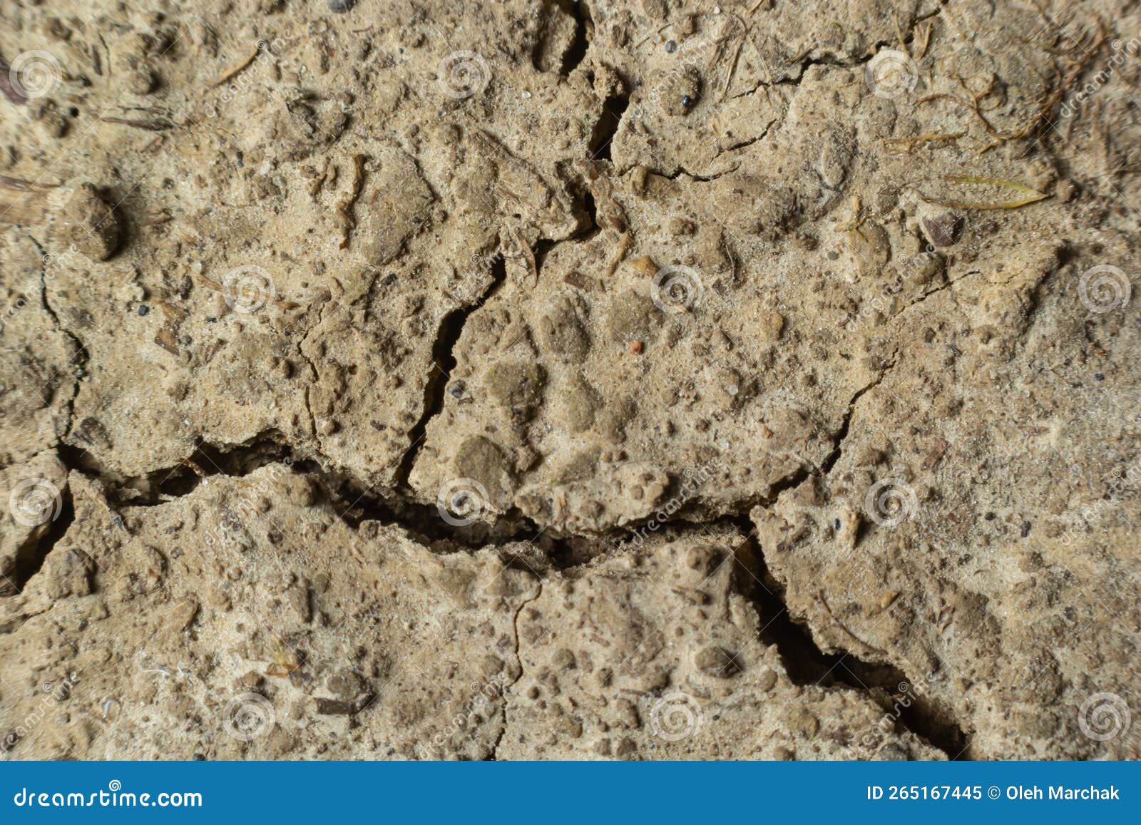 The Ground Has Cracks in the Top View for the Background or Graphic ...