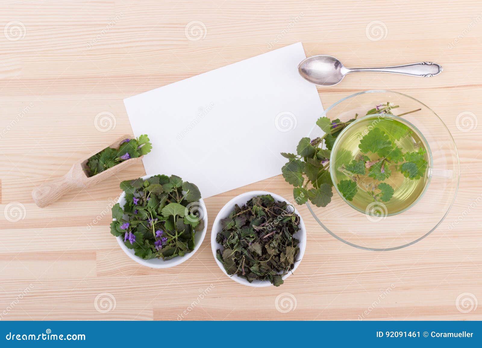 Ground ivy tea stock image. Image of copy, herbal, dish - 92091461