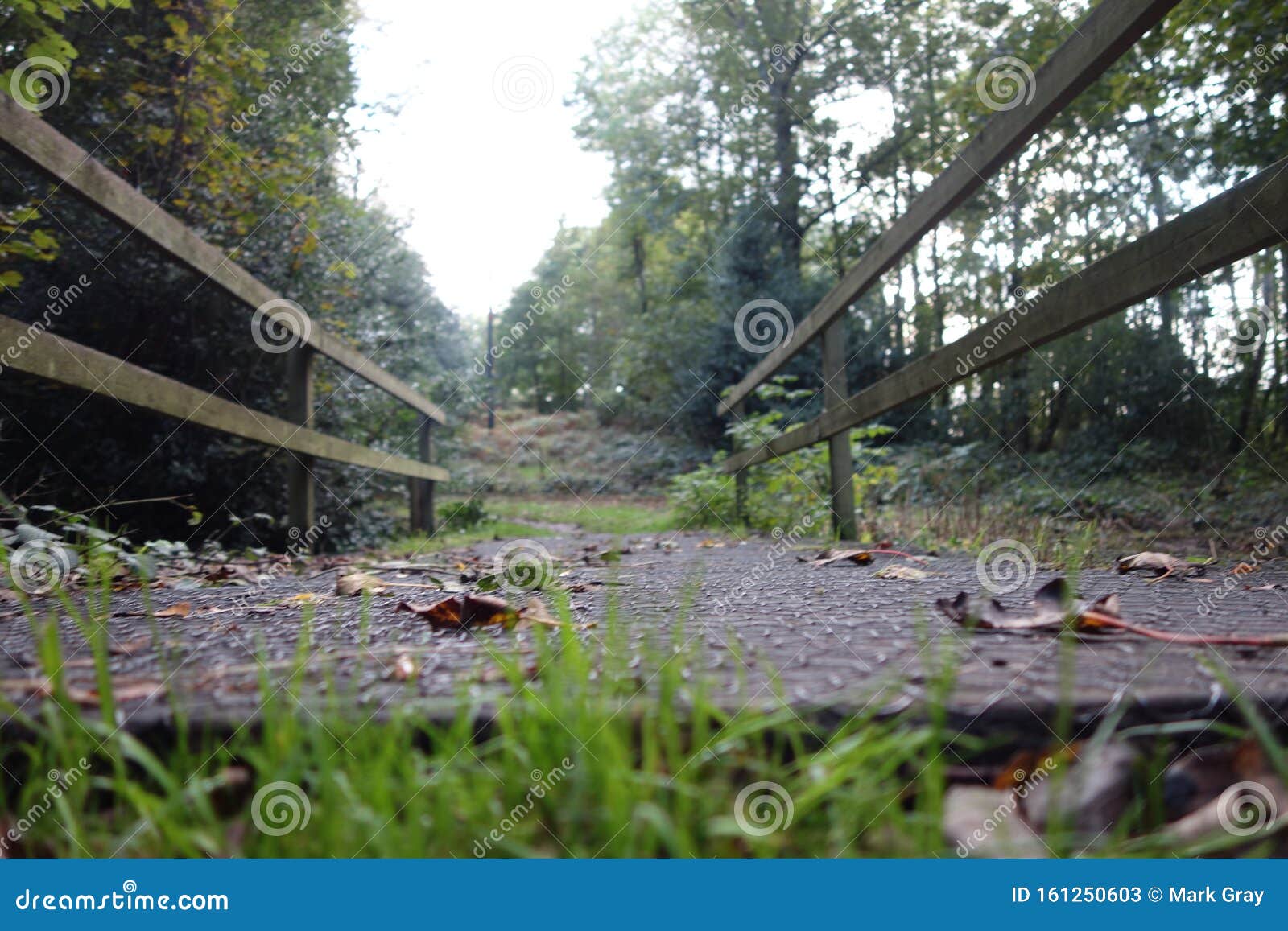 Ground Level on a Bridge stock image. Image of grass - 161250603