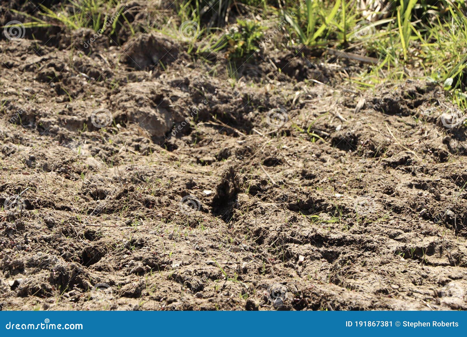 Ground Level Close Up of Mud and Water Sloshing Down a Stream Stock ...