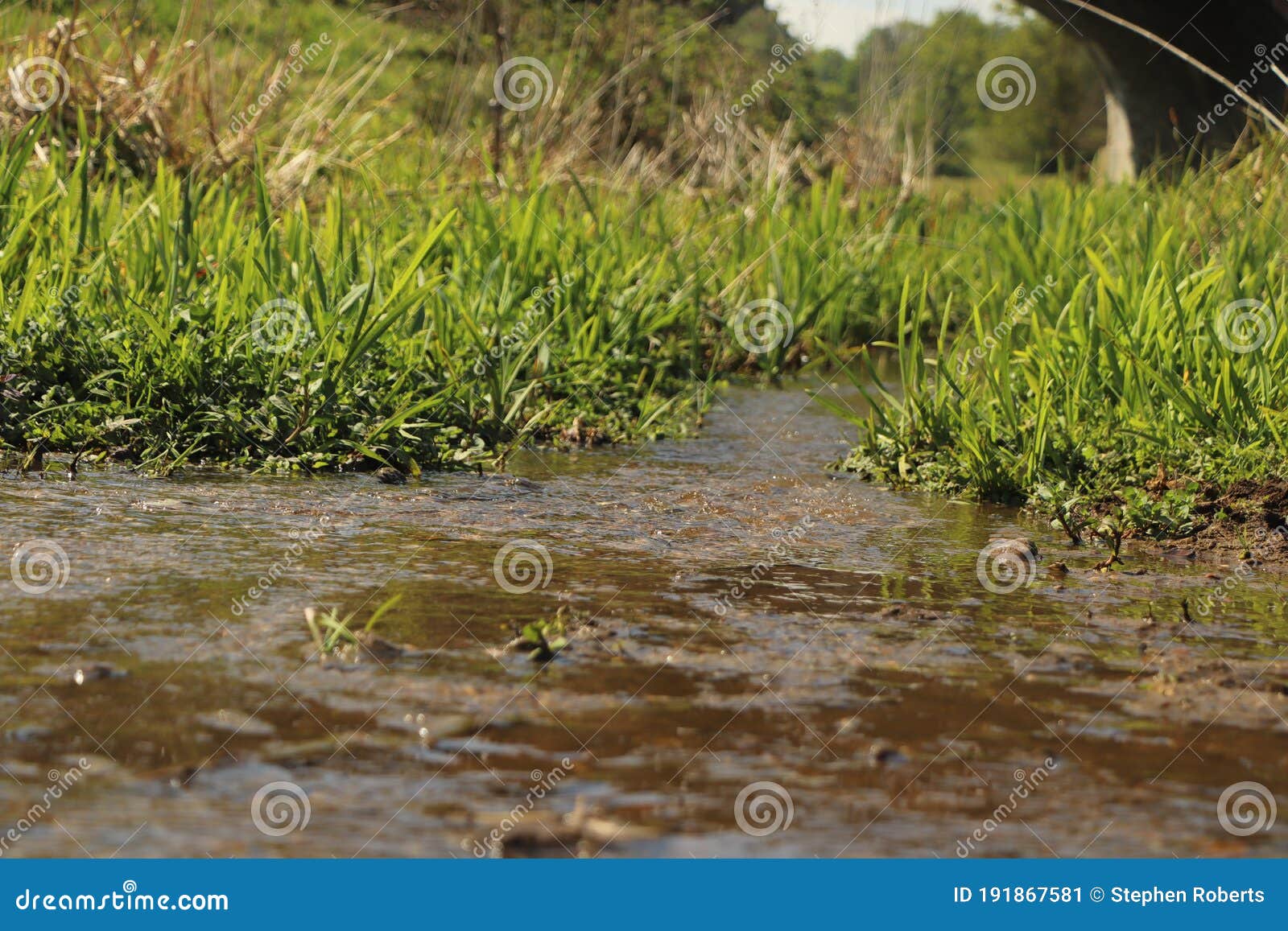 Ground Level Close Up of Mud and Water Sloshing Down a Stream Stock ...