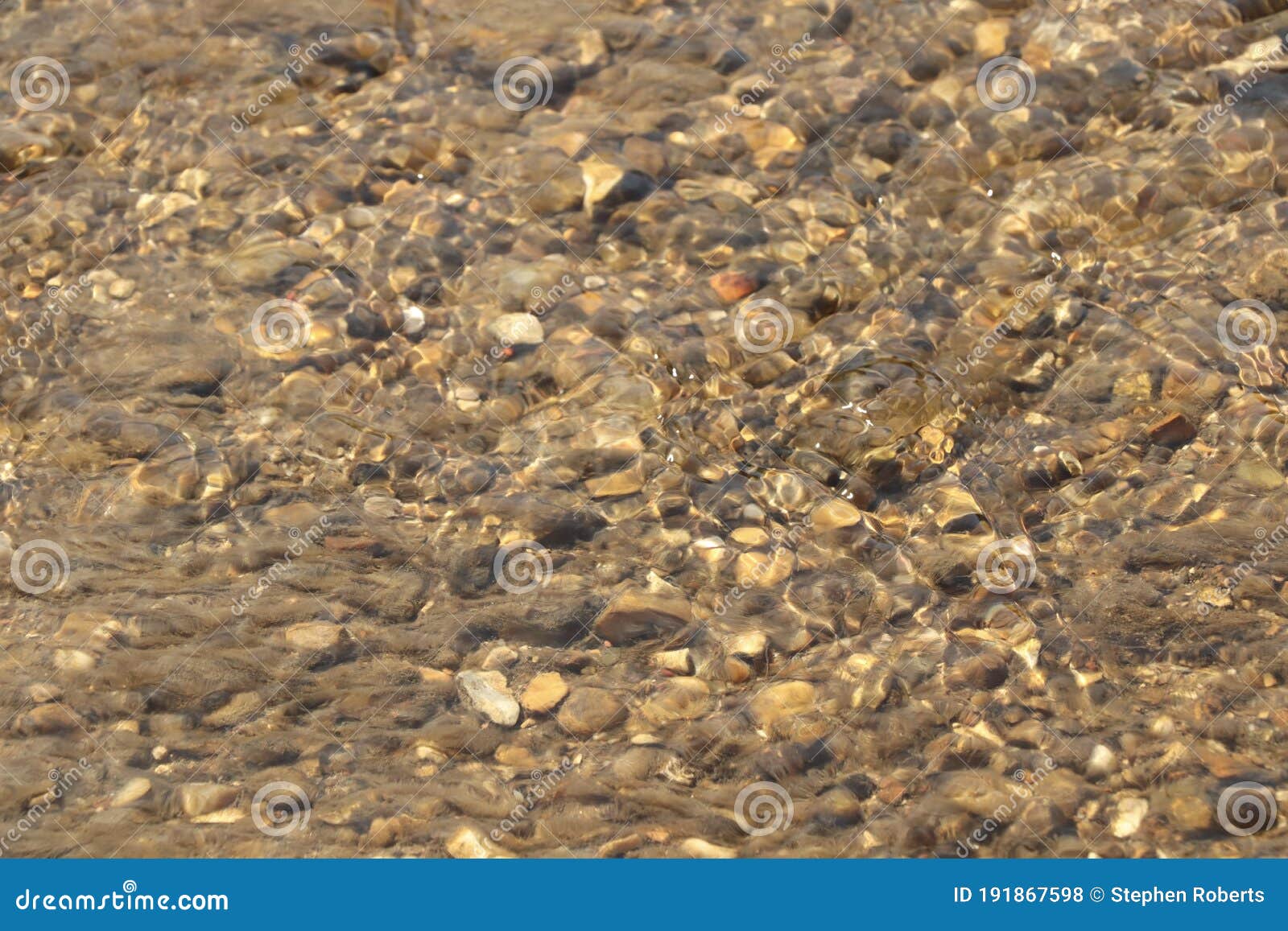 Ground Level Close Up of Mud and Water Sloshing Down a Stream Stock ...