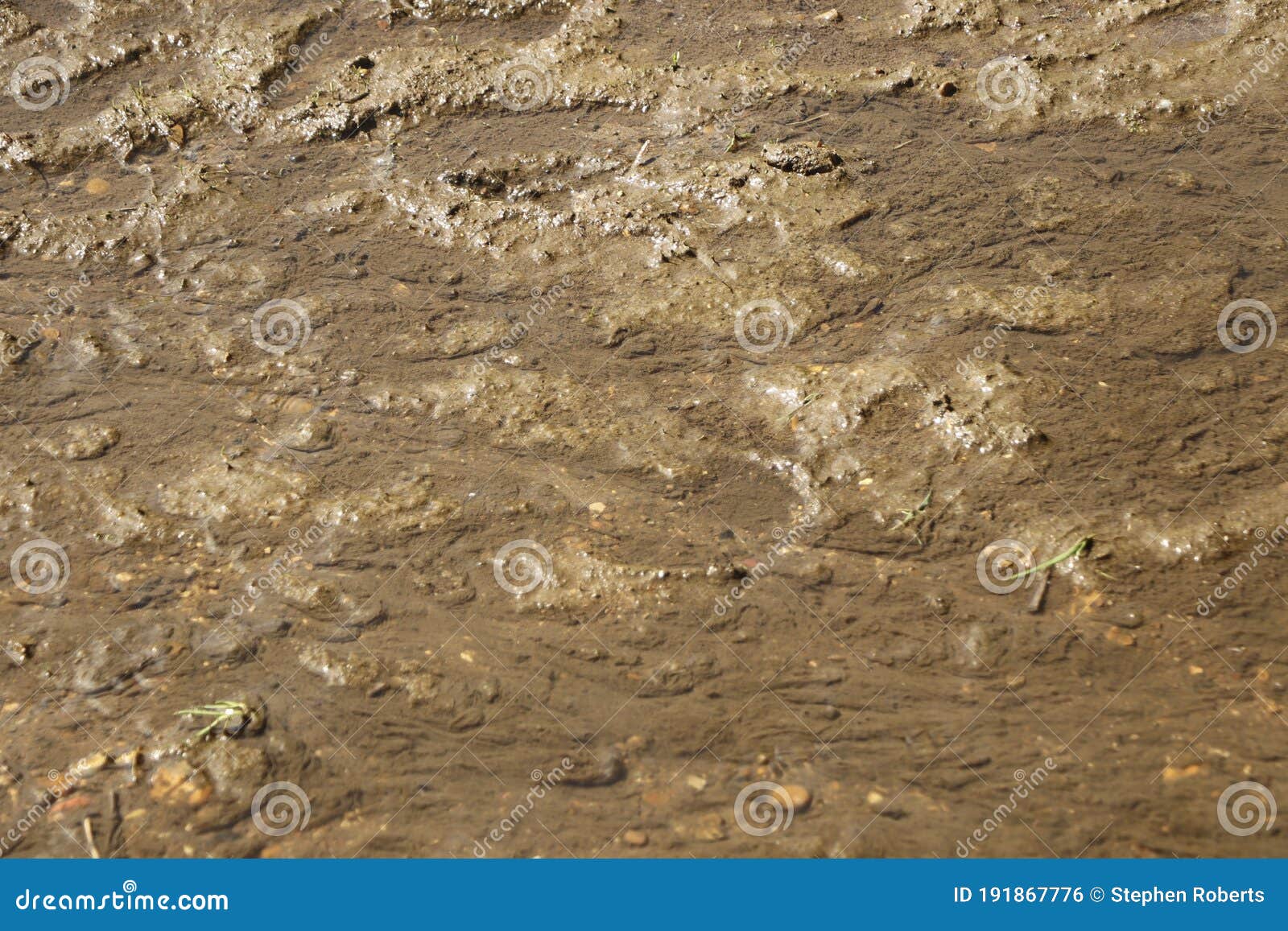 Ground Level Close Up of Mud and Water Sloshing Down a Stream Stock ...