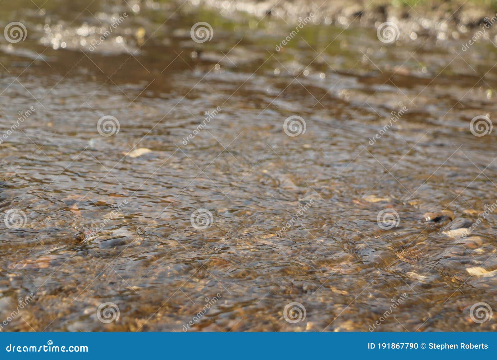 Ground Level Close Up of Mud and Water Sloshing Down a Stream Stock ...