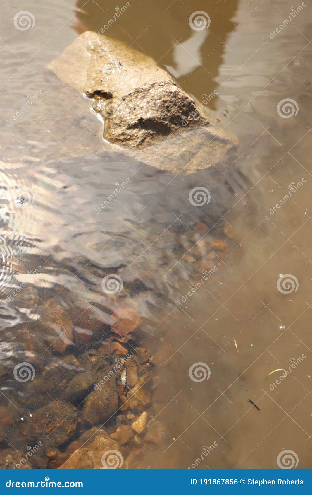 Ground Level Close Up of Mud and Water Sloshing Down a Stream Stock ...