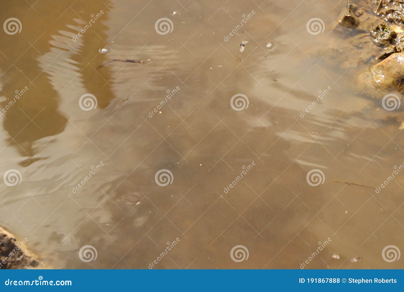 Ground Level Close Up of Mud and Water Sloshing Down a Stream Stock ...