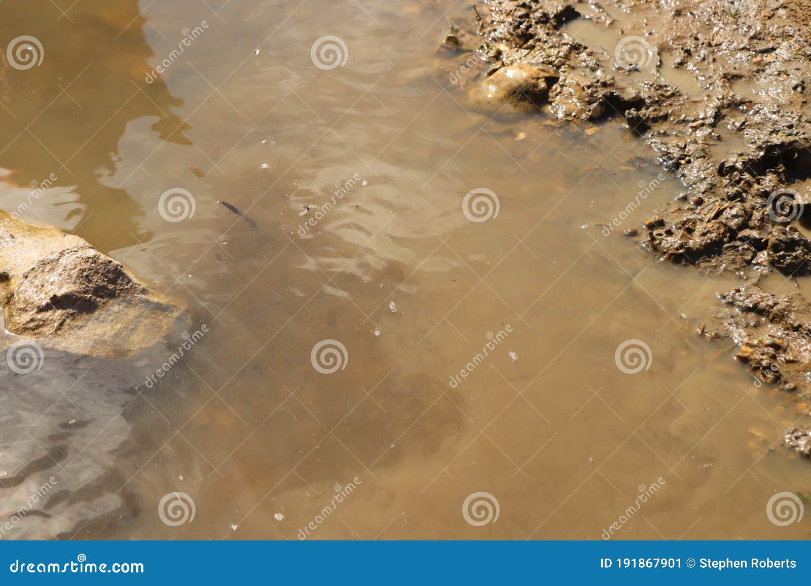 Ground Level Close Up of Mud and Water Sloshing Down a Stream Stock ...