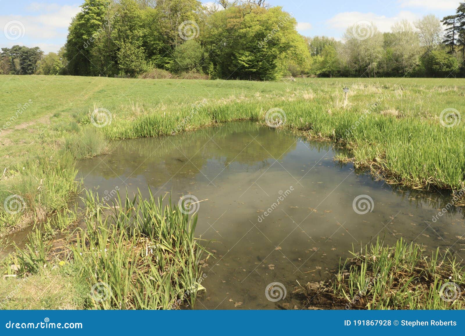 Ground Level Close Up of Mud and Water Sloshing Down a Stream Stock ...