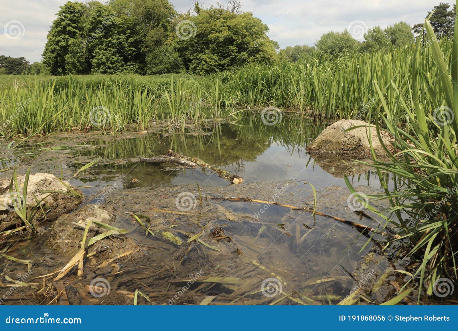 Ground Level Close Up of Mud and Water Sloshing Down a Stream Stock ...