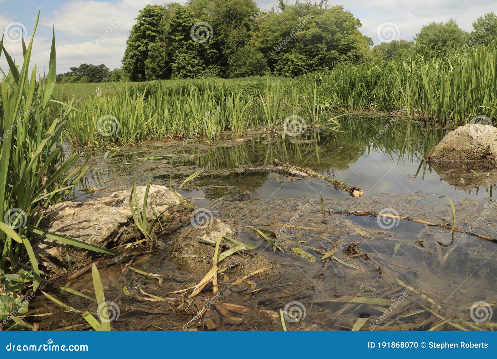 Ground Level Close Up of Mud and Water Sloshing Down a Stream Stock ...