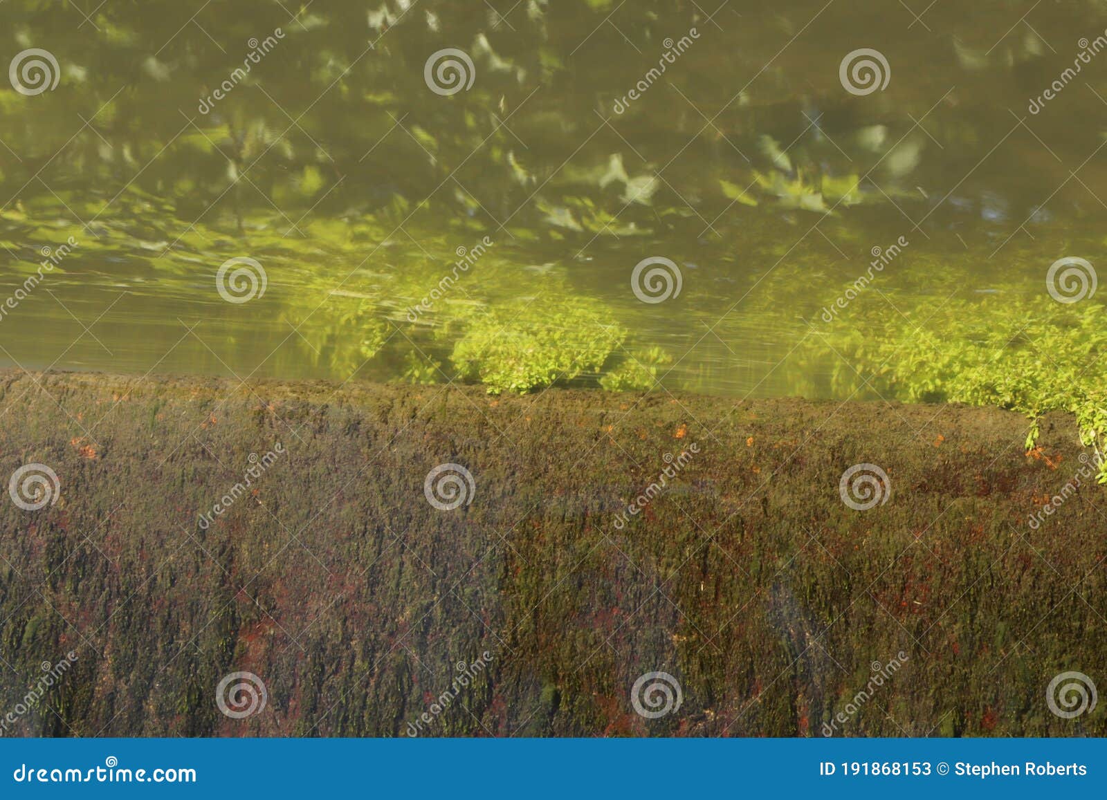 Ground Level Close Up of Mud and Water Sloshing Down a Stream Stock ...