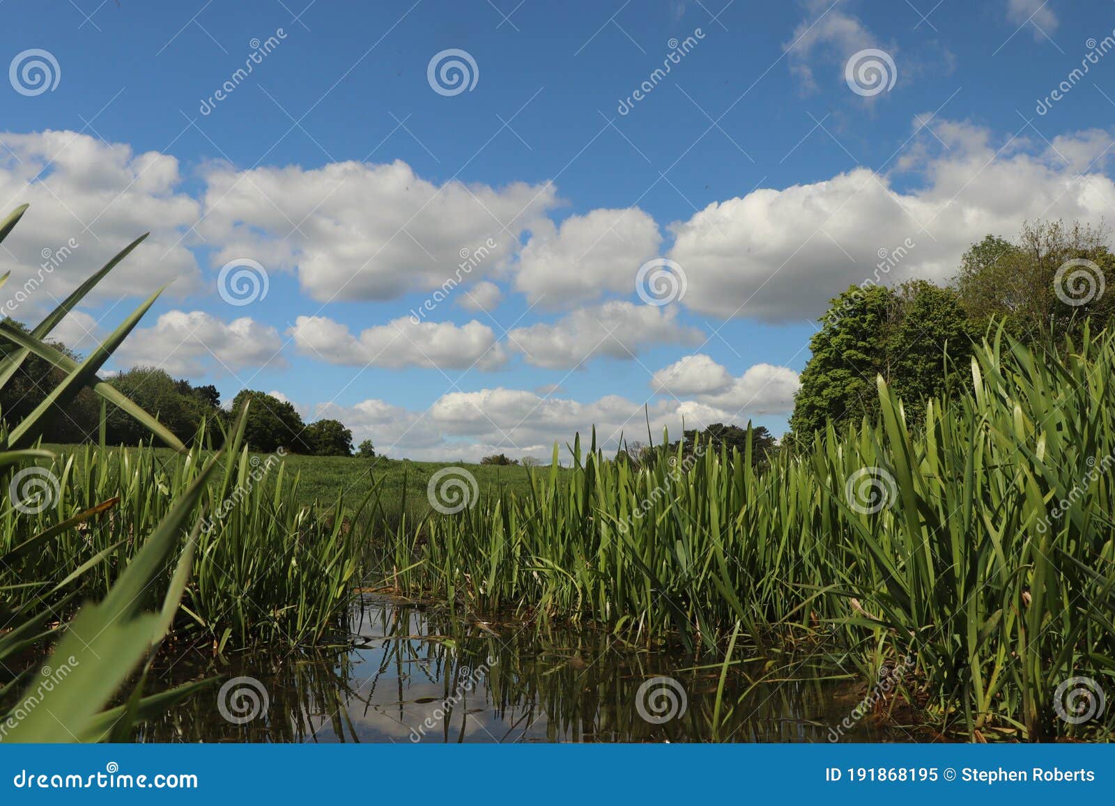 Ground Level Close Up of Mud and Water Sloshing Down a Stream Stock ...