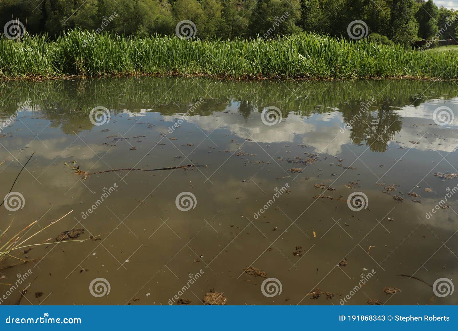 Ground Level Close Up of Mud and Water Sloshing Down a Stream Stock ...