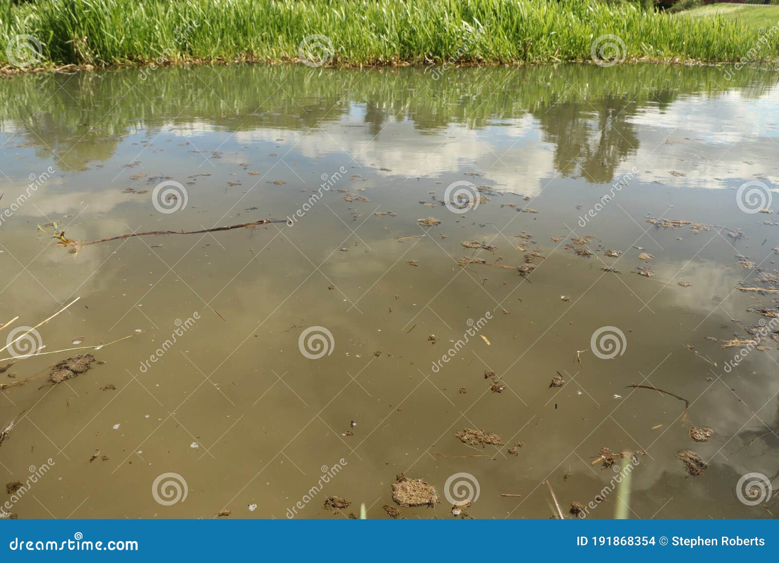 Ground Level Close Up of Mud and Water Sloshing Down a Stream Stock ...