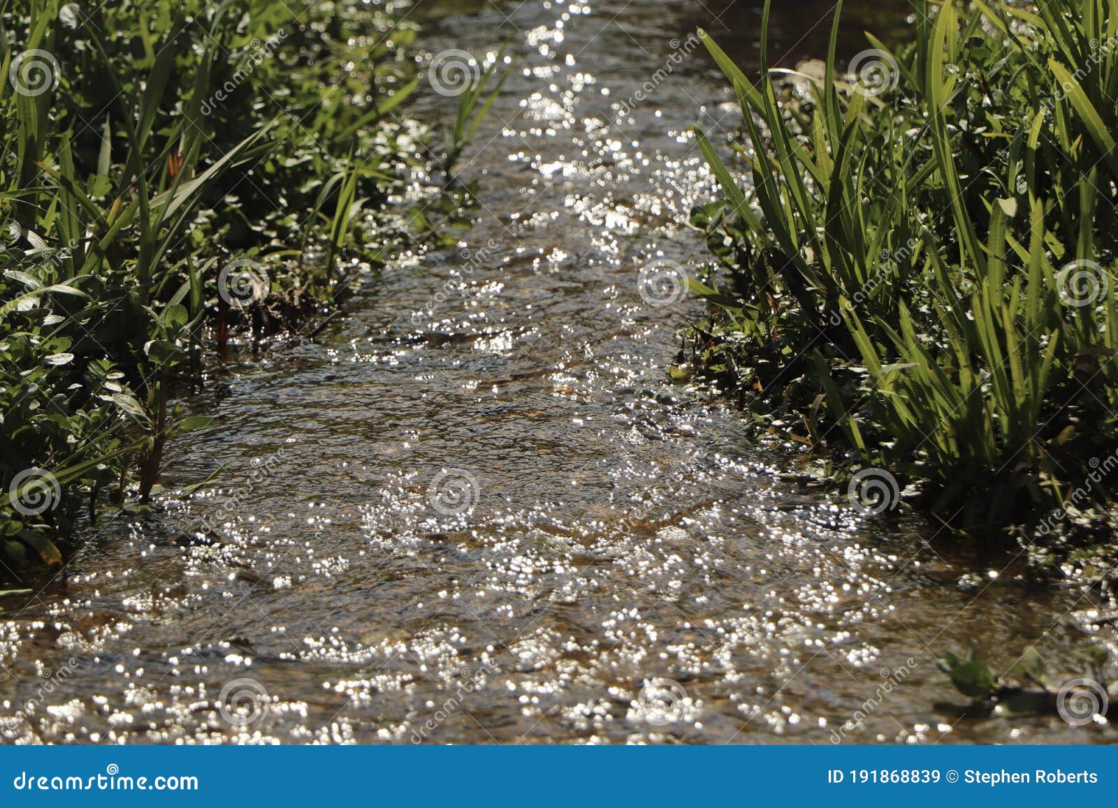Ground Level Close Up of Mud and Water Sloshing Down a Stream Stock ...