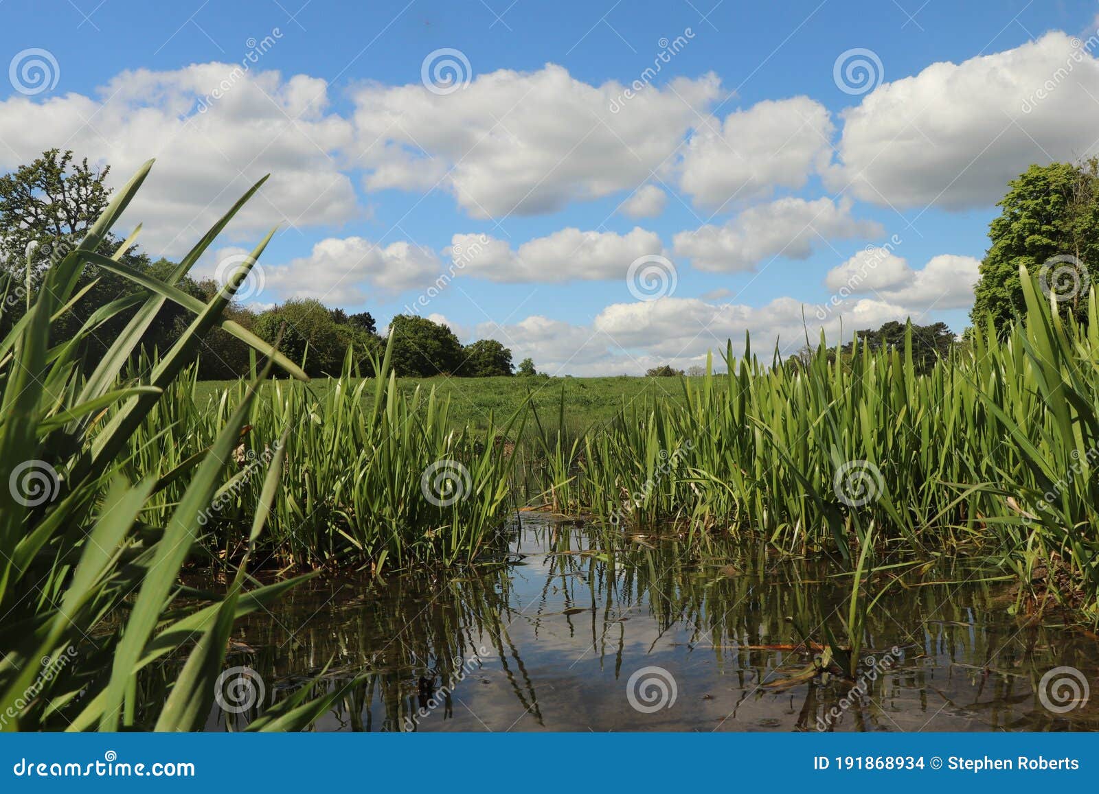 Ground Level Close Up of Mud and Water Sloshing Down a Stream Stock ...