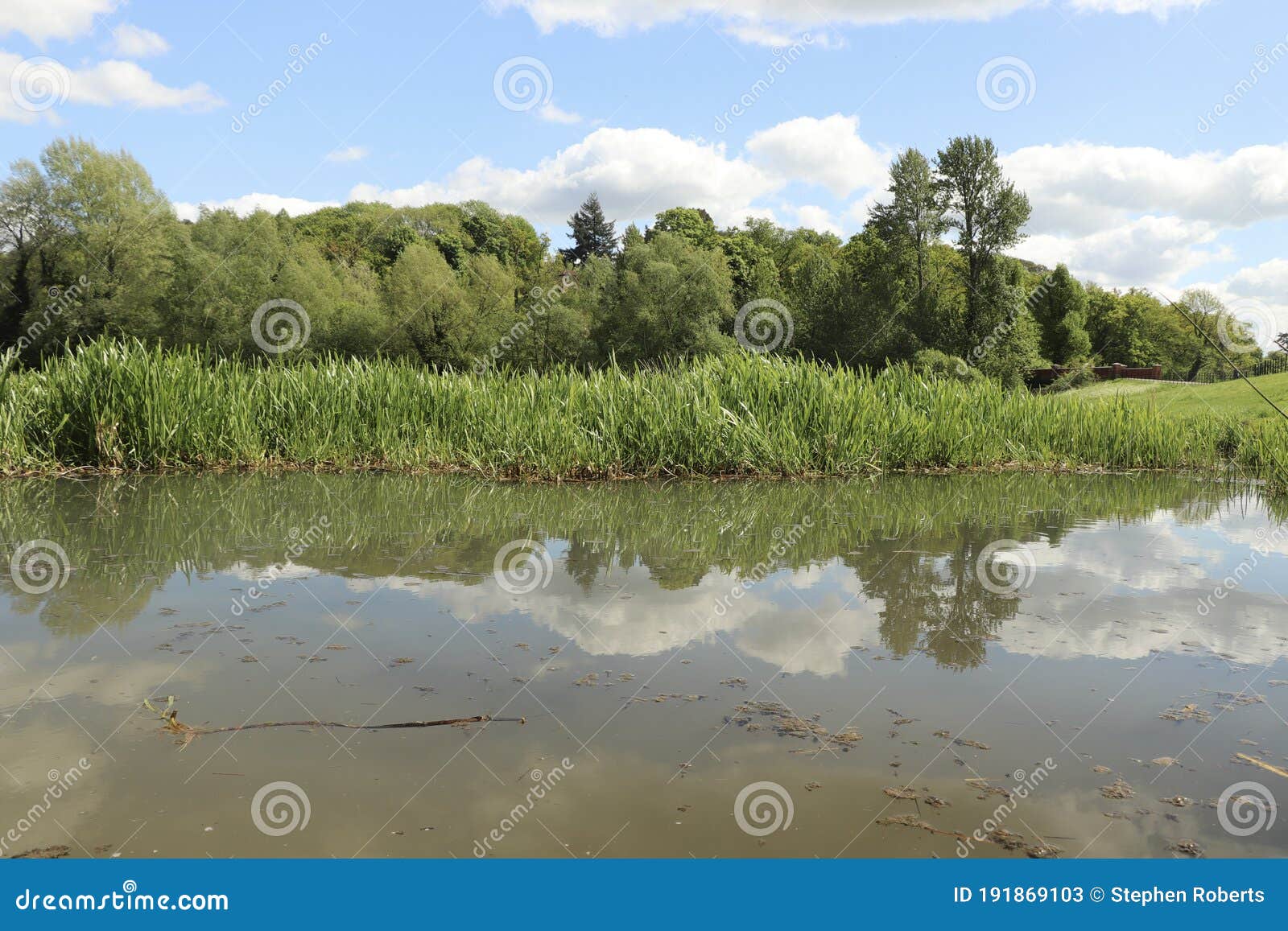 Ground Level Close Up of Mud and Water Sloshing Down a Stream Stock ...