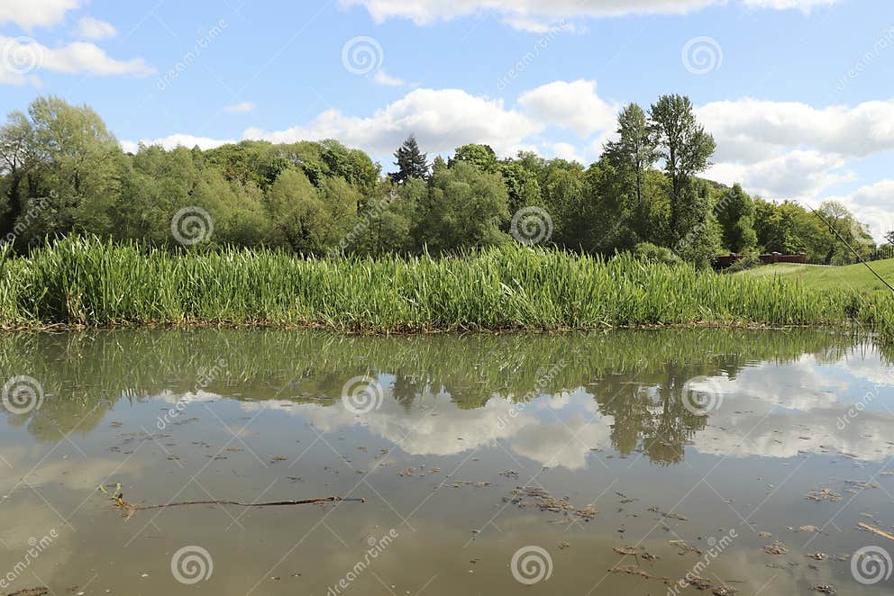 Ground Level Close Up of Mud and Water Sloshing Down a Stream Stock ...