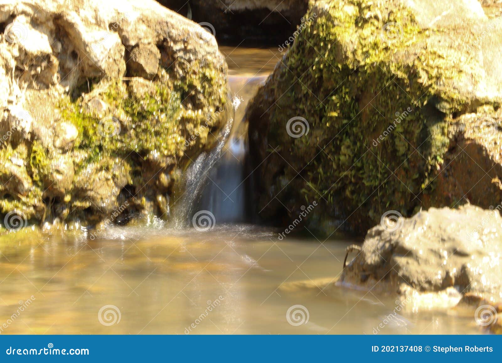 Ground Level Close Up of Mud and Water Sloshing Down a Stream Stock ...