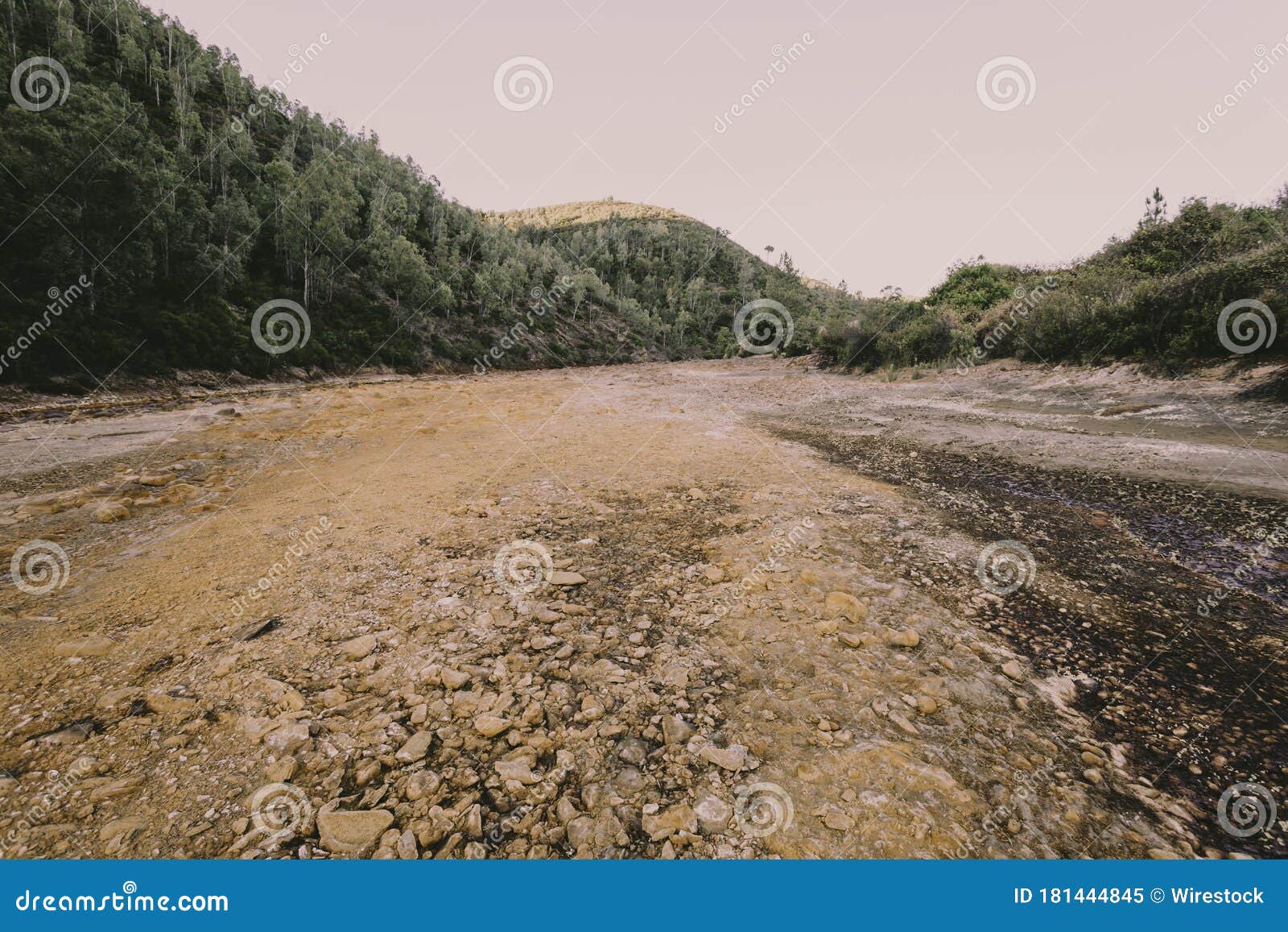 Ground Level Shot of a Dry Riverbed between Mountains with Trees Stock ...